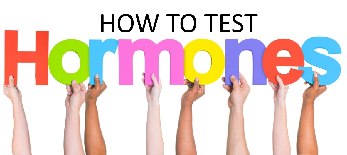 3 ways to test hormone levels – Health Happening