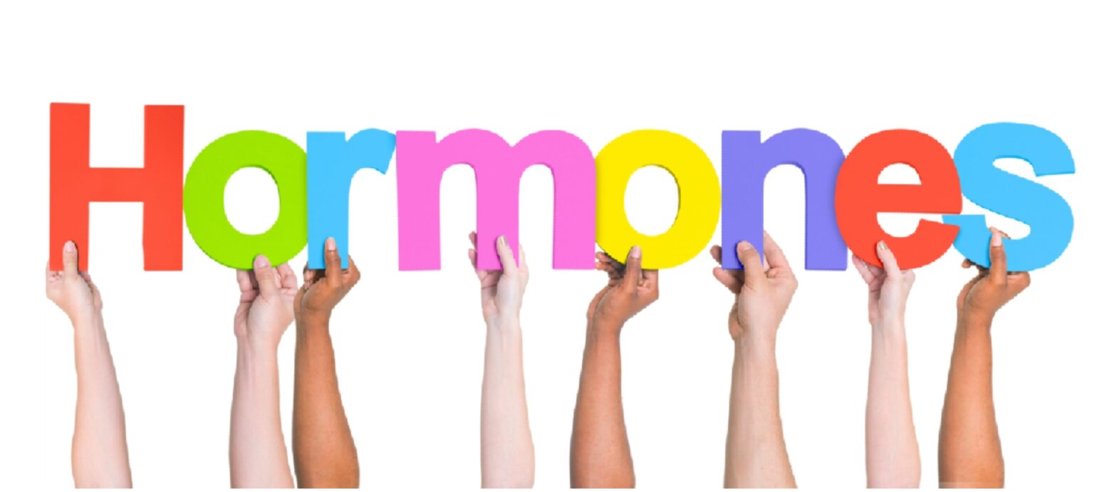 HORMONES CHART – Type, source and effect – Health Happening